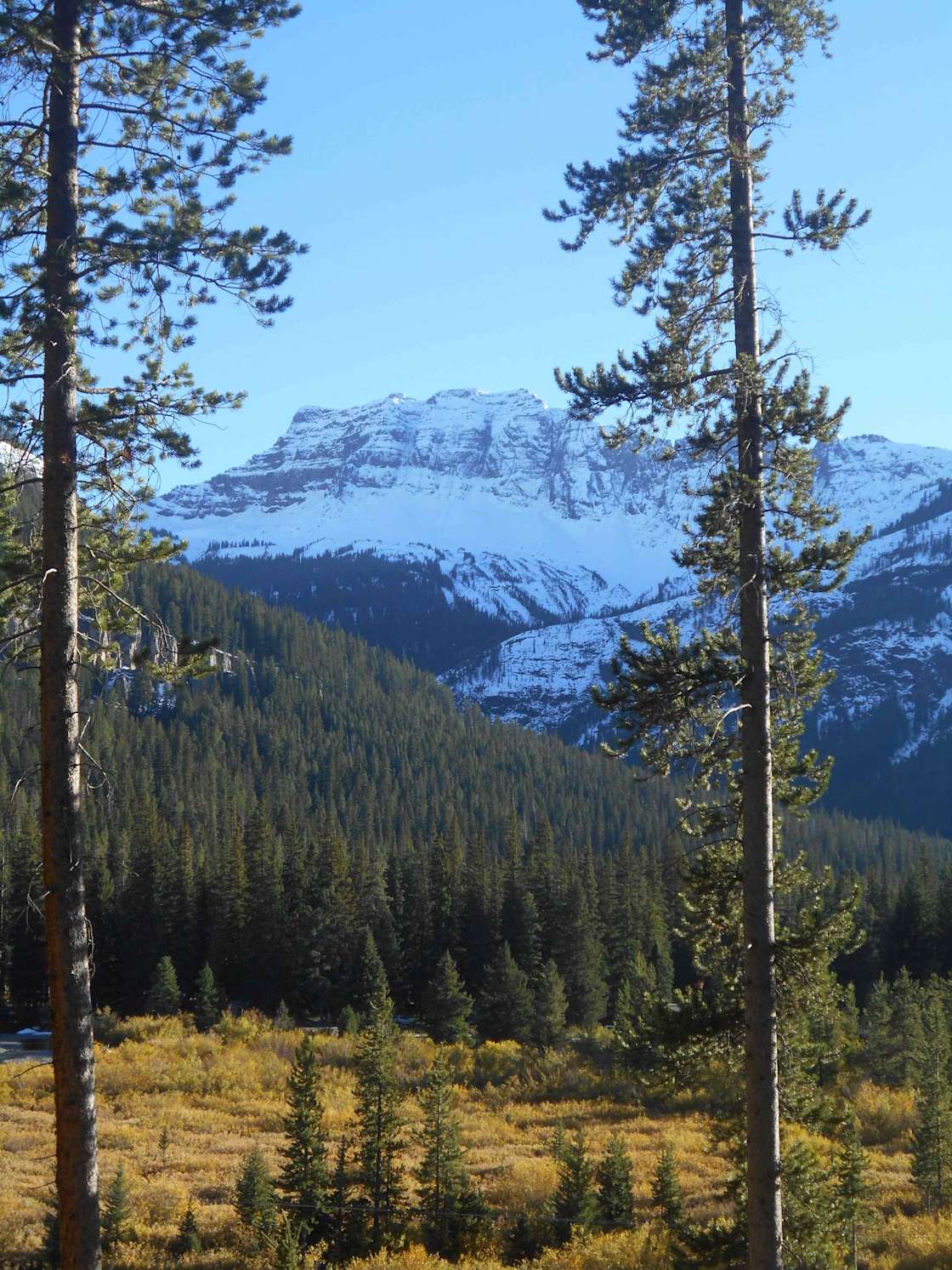 Silvergate Simplicity - Hipcamp in Silver Gate, Montana