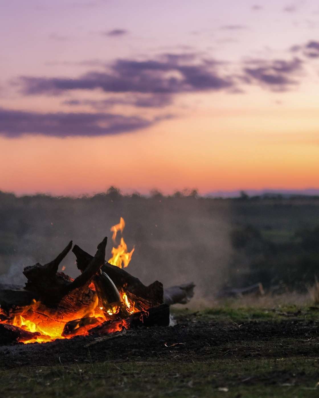 Daylesford Hepburn Farm Camping - Hipcamp in Campbelltown, Victoria