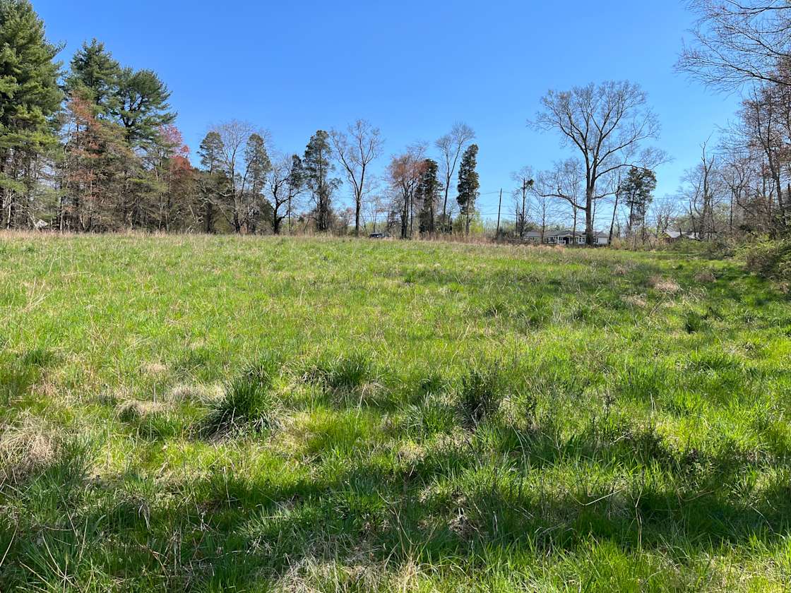 Kingsville Camp Grounds - Hipcamp in Upper Falls, Maryland