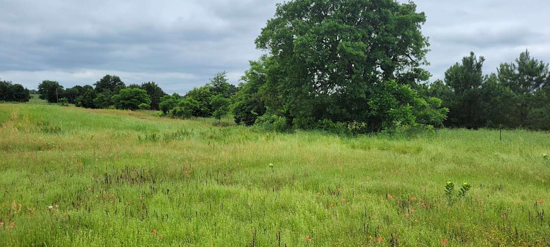 Nicmic Landing - Hipcamp in Toco, Texas