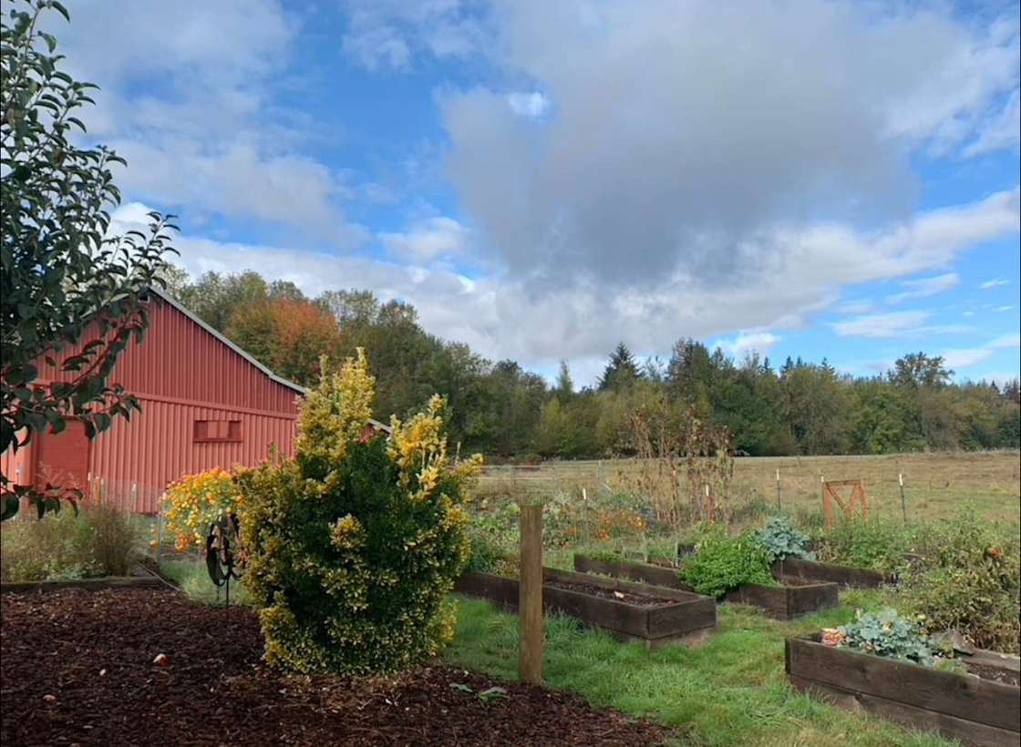 Farm Stay - Hipcamp in Ridgefield, Washington