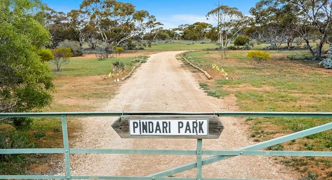 Pindari Park - Hipcamp in Stuart, South Australia