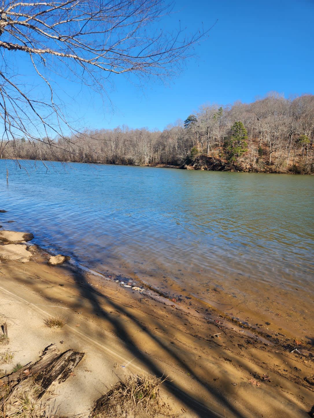Lake Lookout Campground - Hipcamp in Claremont, North Carolina