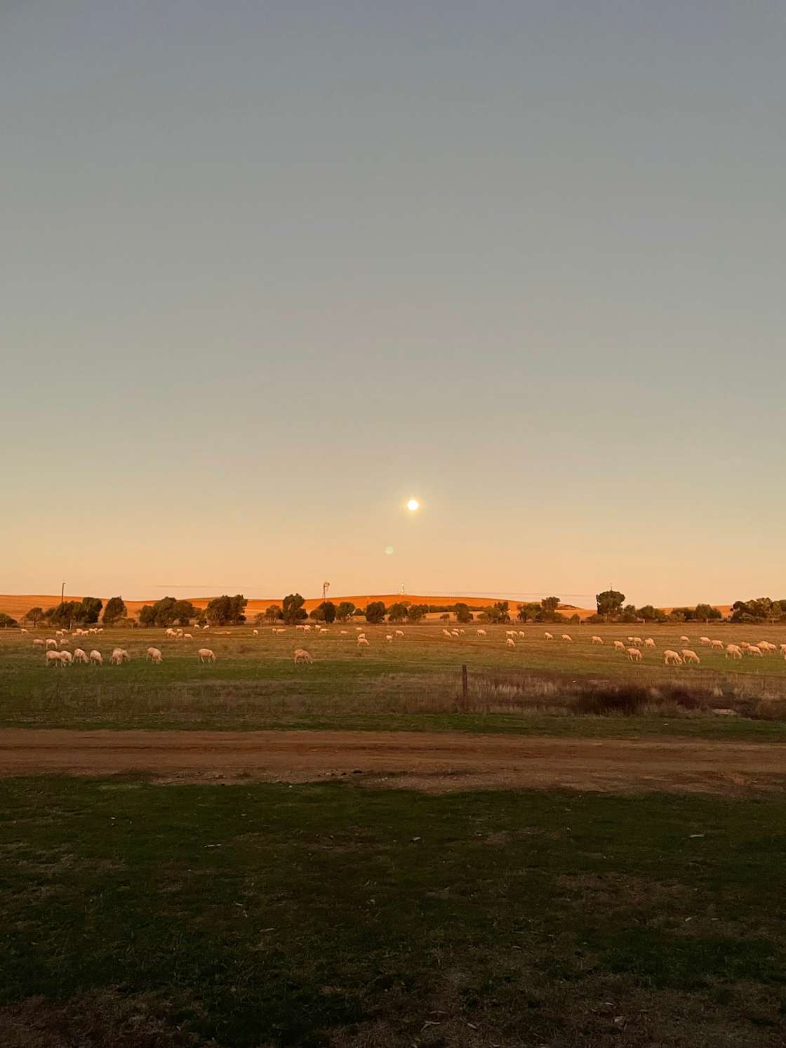 Heggies Hill Bush Camp - Hipcamp in Tarcowie, South Australia