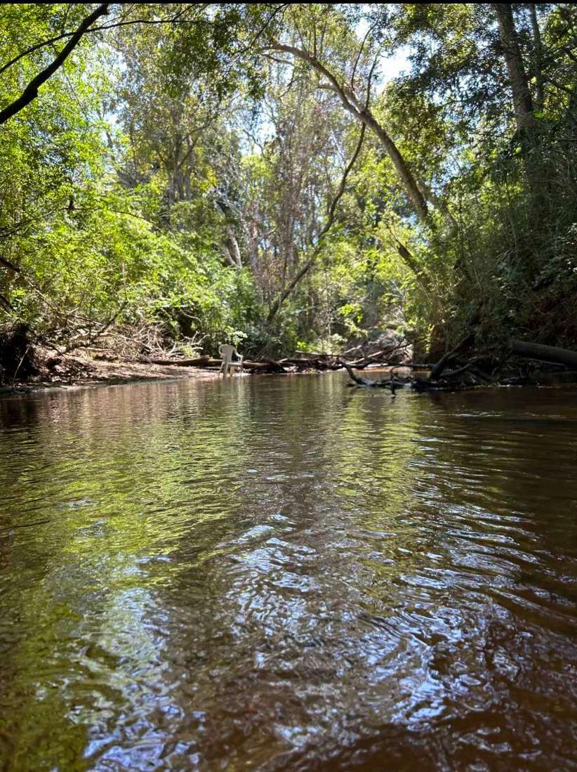 Myrtle Ridge farm - Hipcamp in Ourimbah, New South Wales