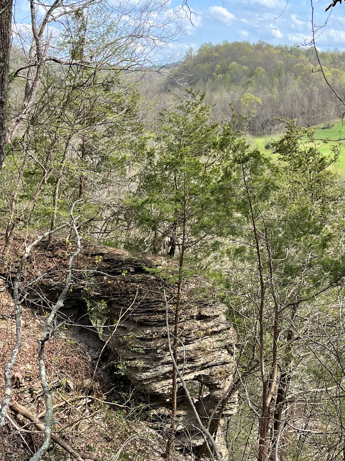 Legends on Wolf River Nature Park - Hipcamp in Byrdstown, Tennessee