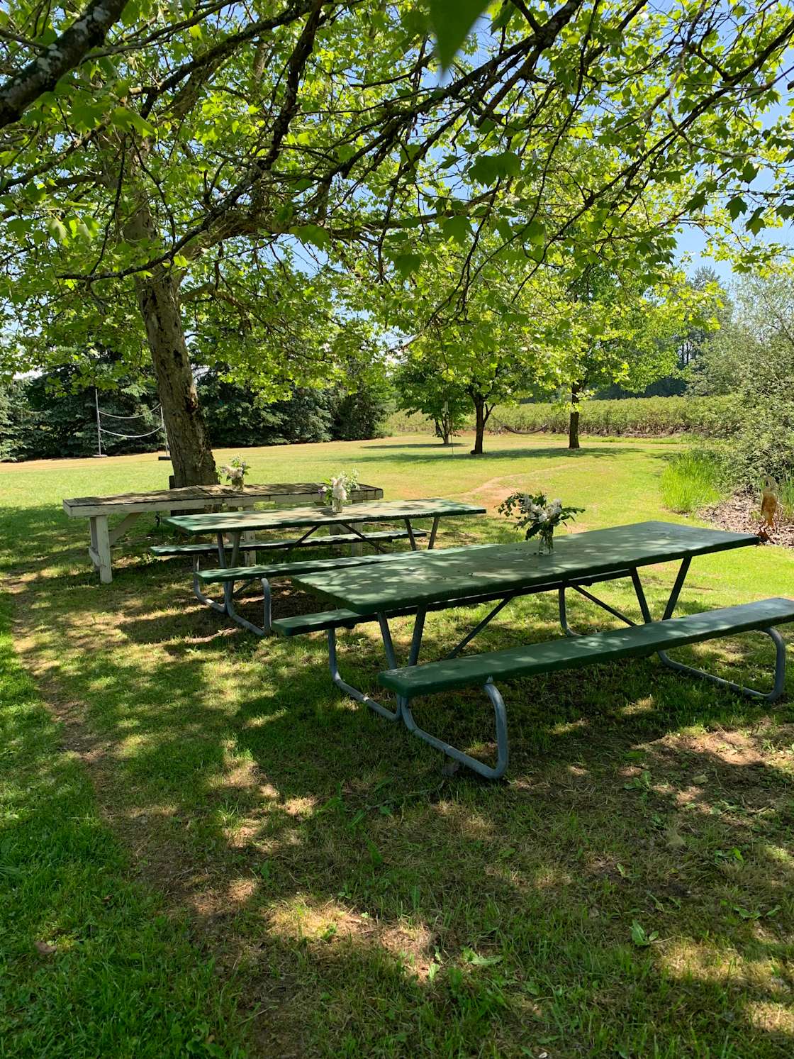 Bode Farms - Hipcamp in Custer, Washington