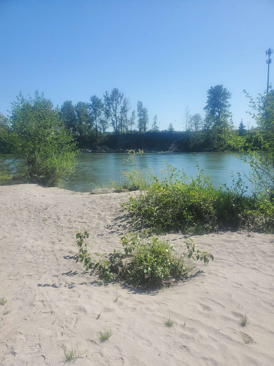 Cowlitz River Sandy Edge Campground - Hipcamp in Castle Rock, Washington