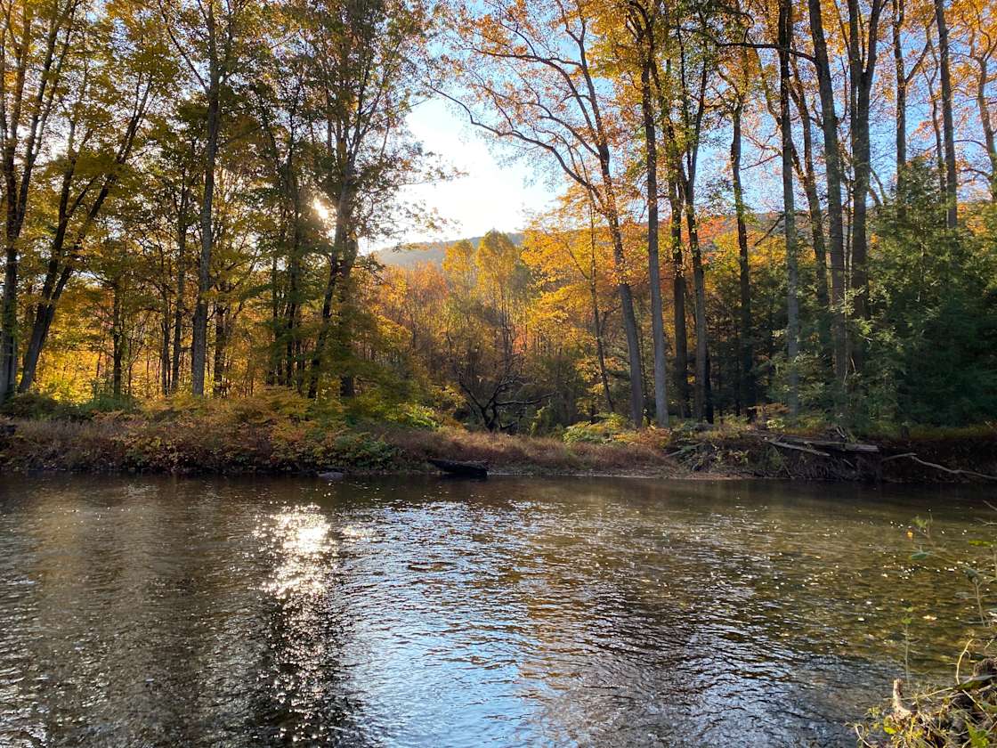 The Farm at Catawissa Creek - Hipcamp in Catawissa, Pennsylvania