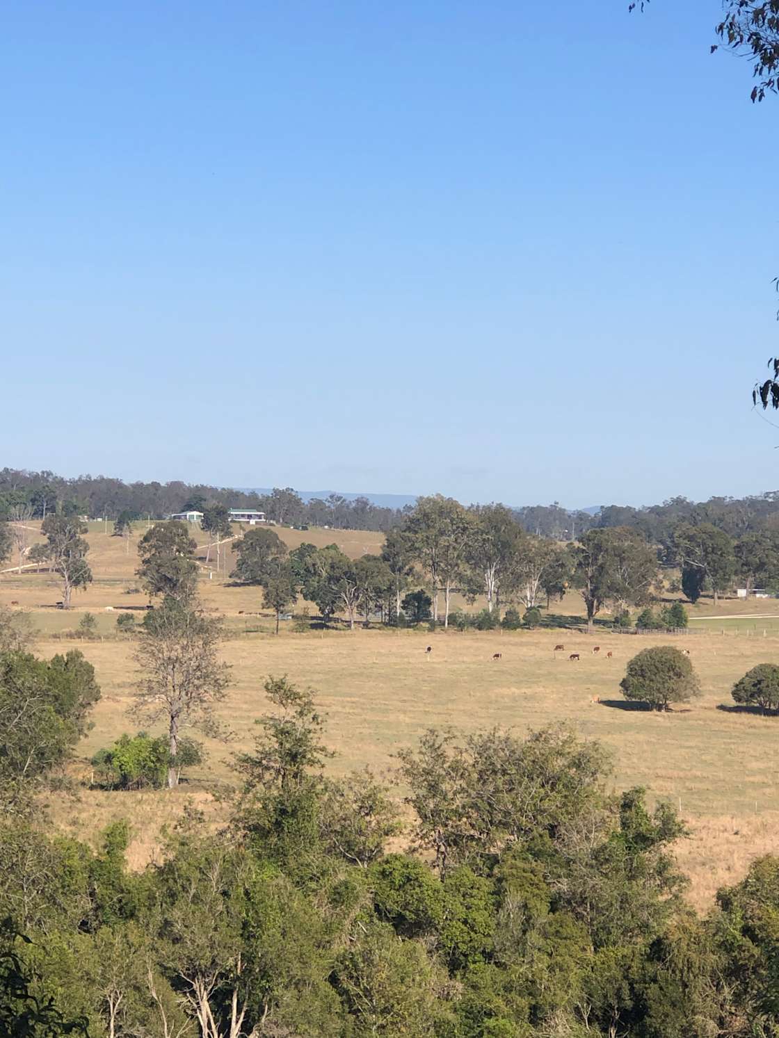 The Martins - Hipcamp in Curra, Queensland