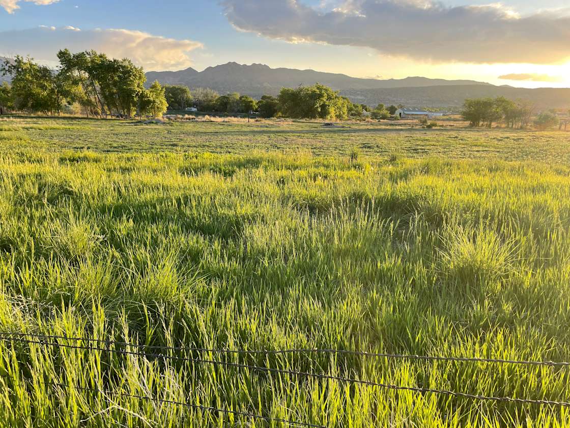 Tumbleweed Flats - Hipcamp in Cañon City, Colorado
