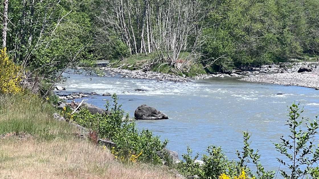 Otter Pond Riverfront Getaway - Hipcamp in Castle Rock, Washington