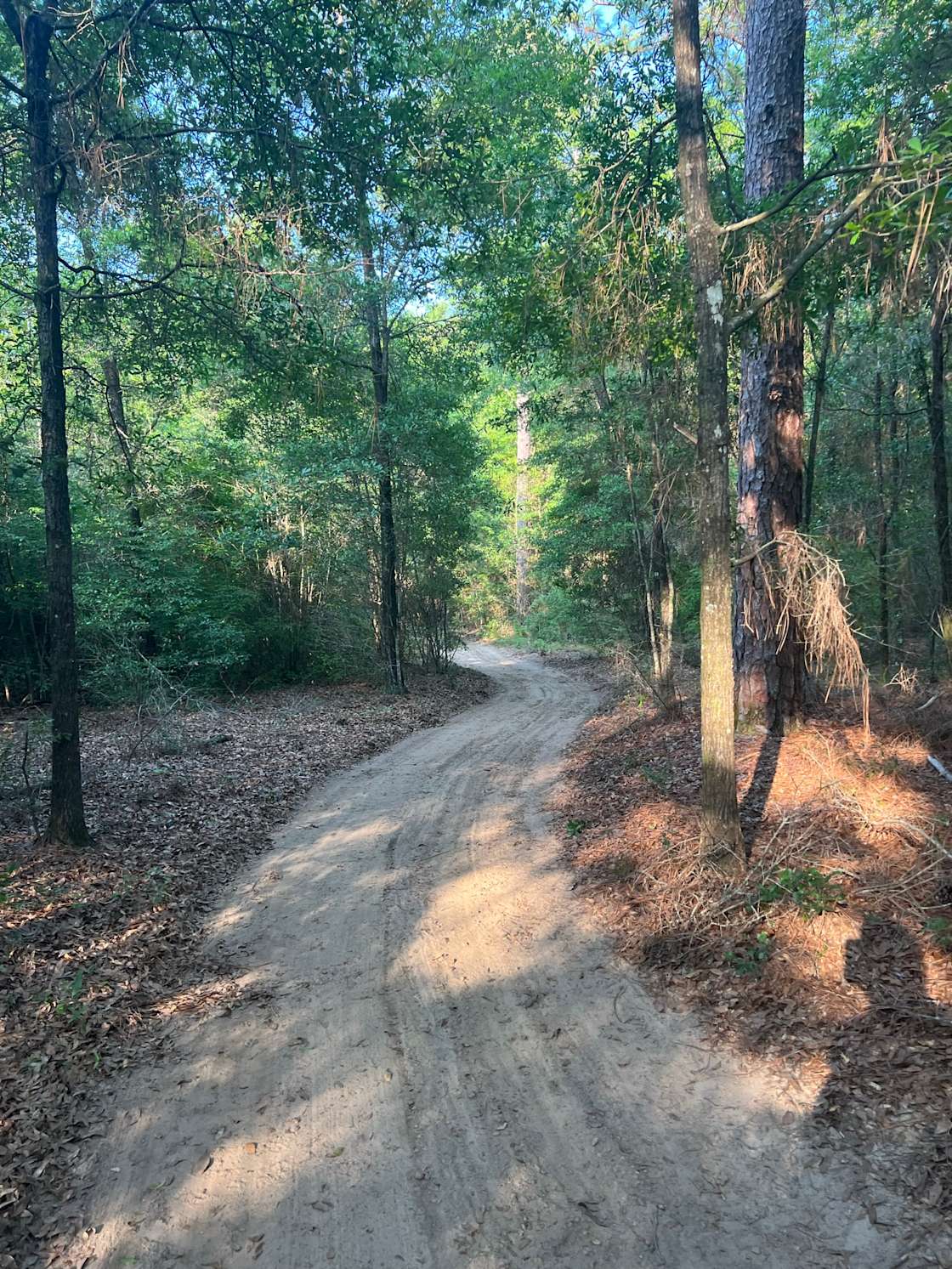 Gateway Trails - Hipcamp in Holt, Florida
