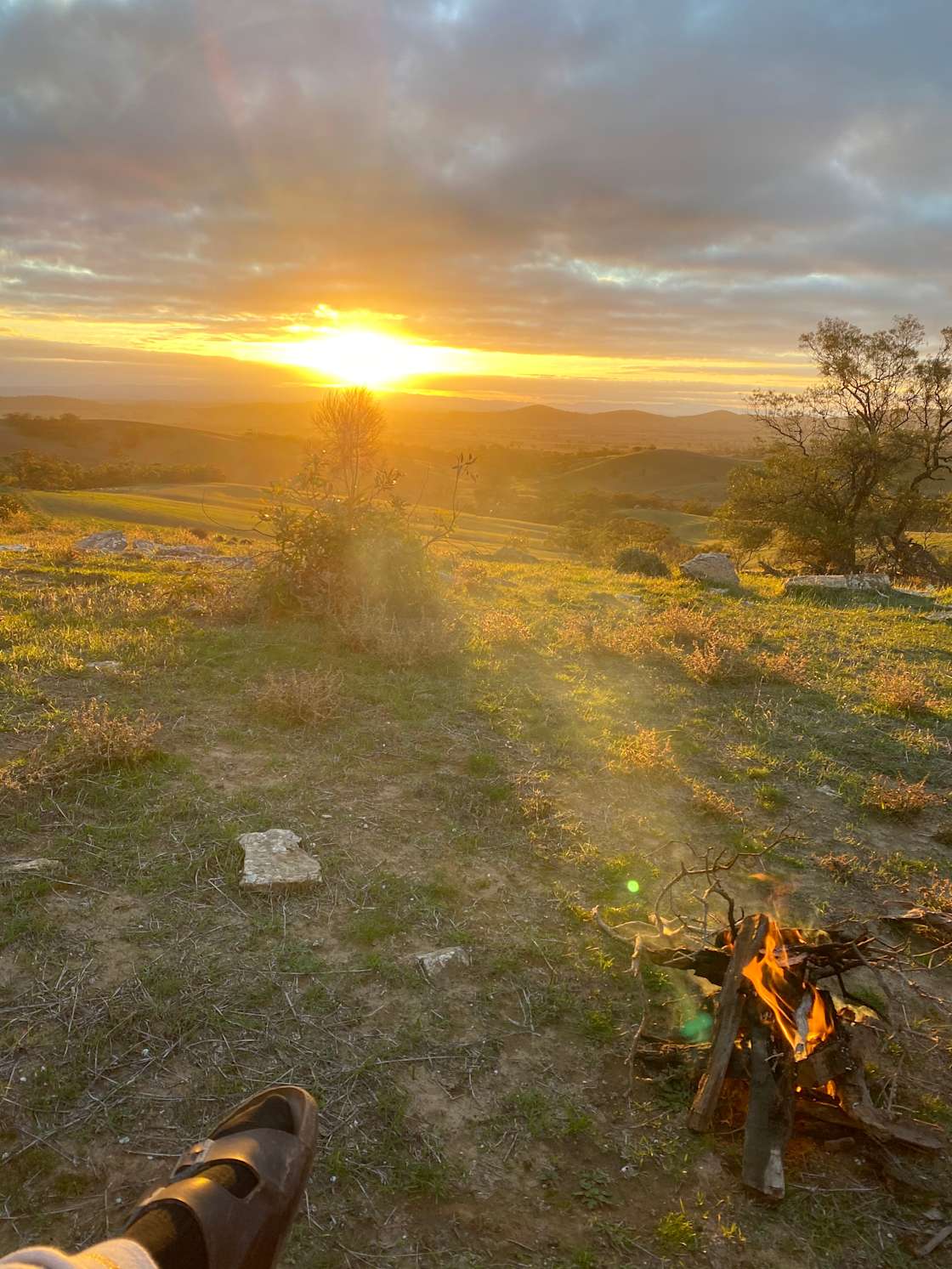 Heggies Hill Bush Camp - Hipcamp in Tarcowie, South Australia