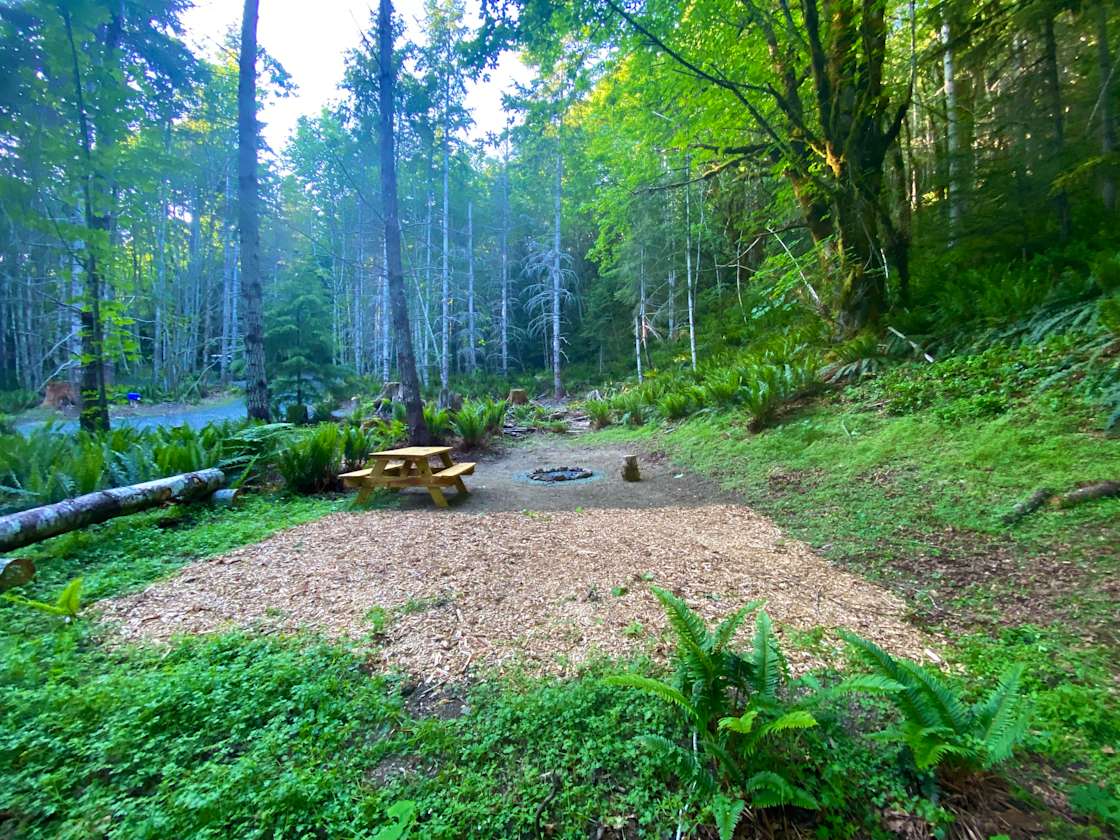 Wandering Joy Campground - Hipcamp in Port Angeles, Washington