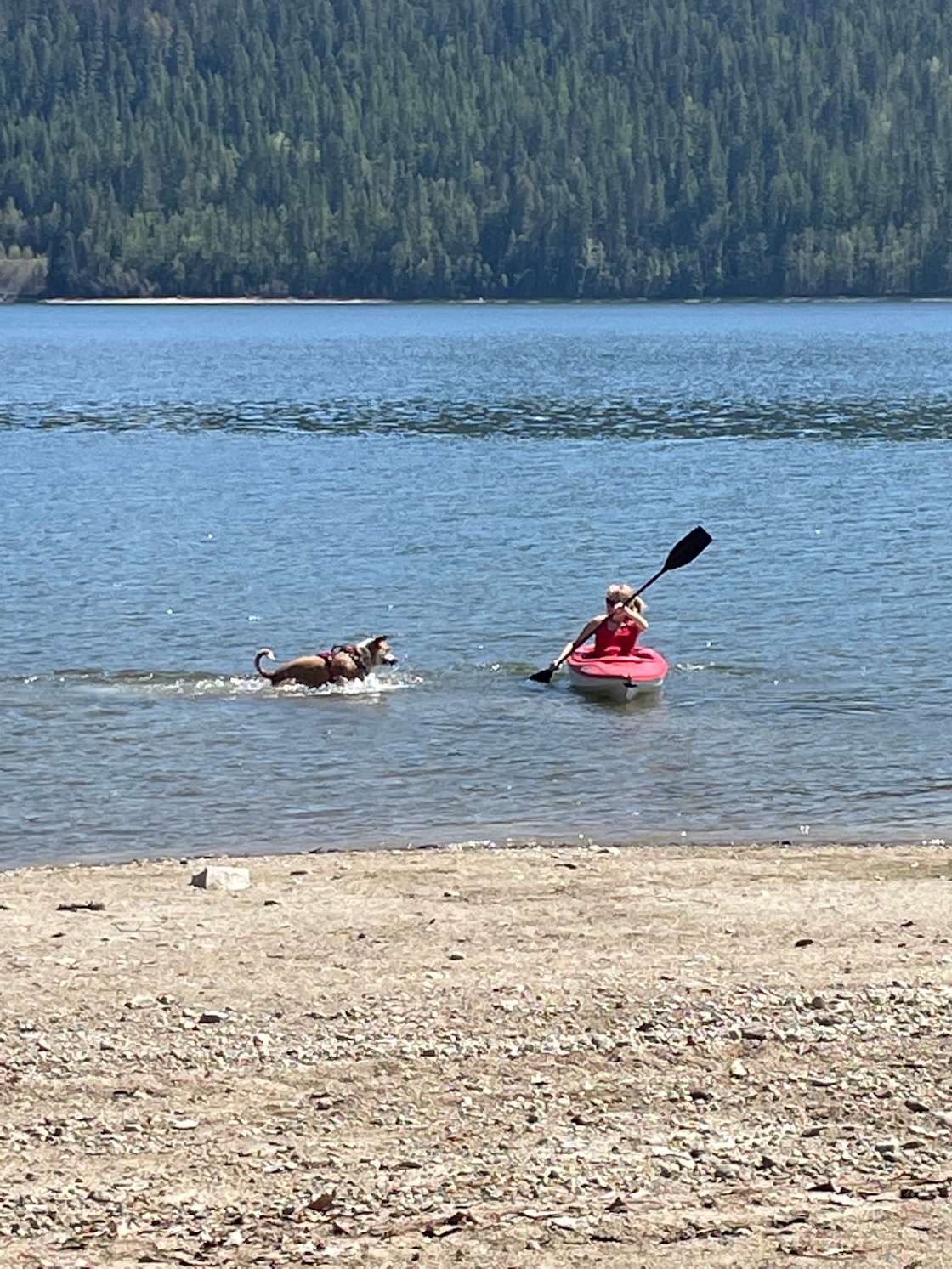 Edgewood Springs - Hipcamp in Edgewood, British Columbia