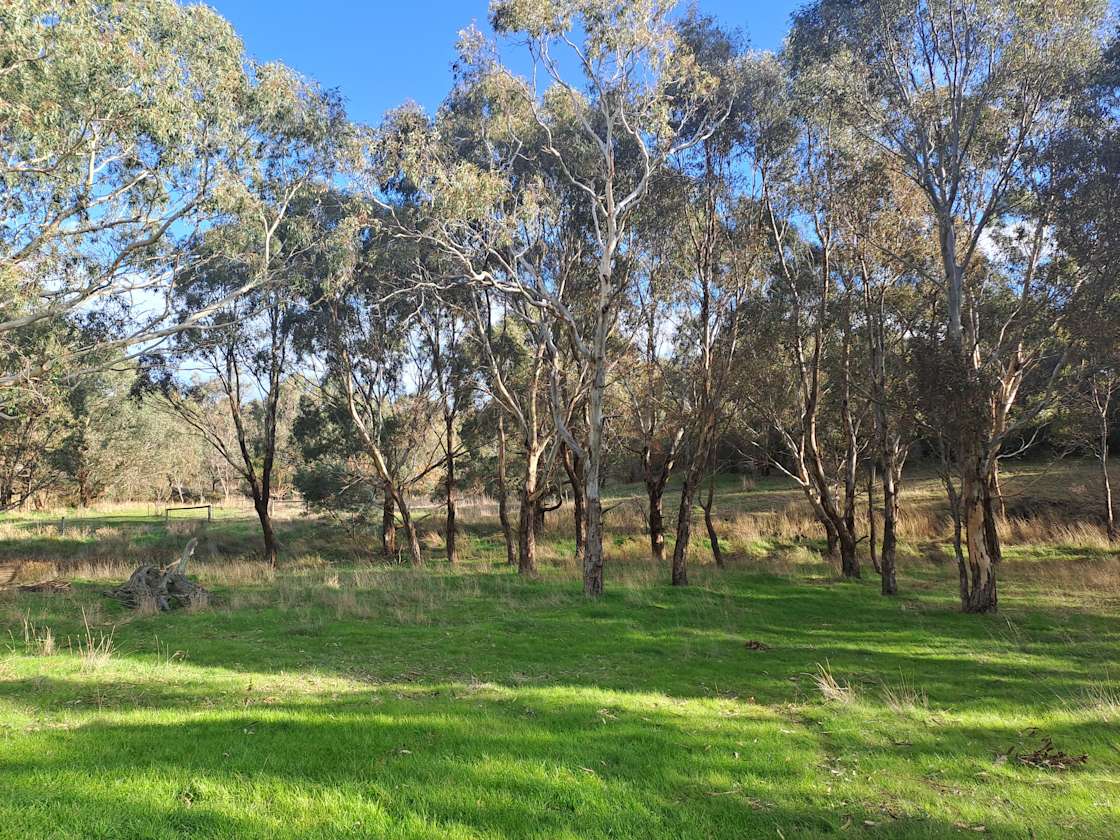 Waitpinga Ridge | Creek Camp Site - Hipcamp in Waitpinga, South Australia