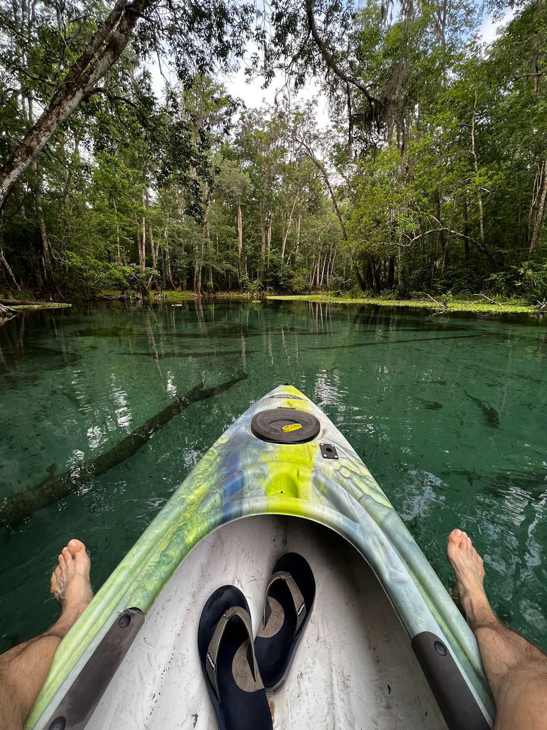 Itchetucknee Springs Paradise - Hipcamp in Branford, Florida