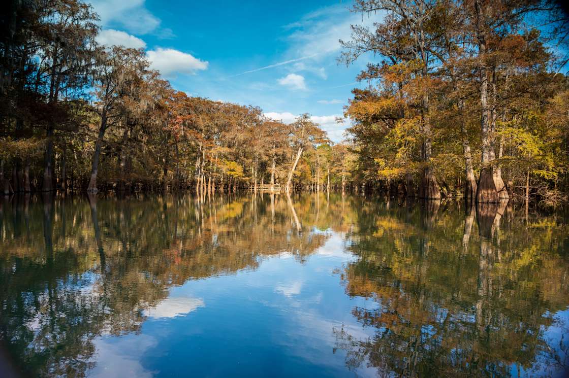 Itchetucknee Springs Paradise - Hipcamp in Branford, Florida