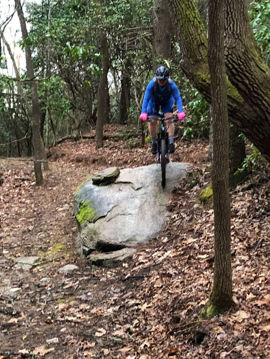 Singletrack Shack - Hipcamp in Hendersonville, North Carolina