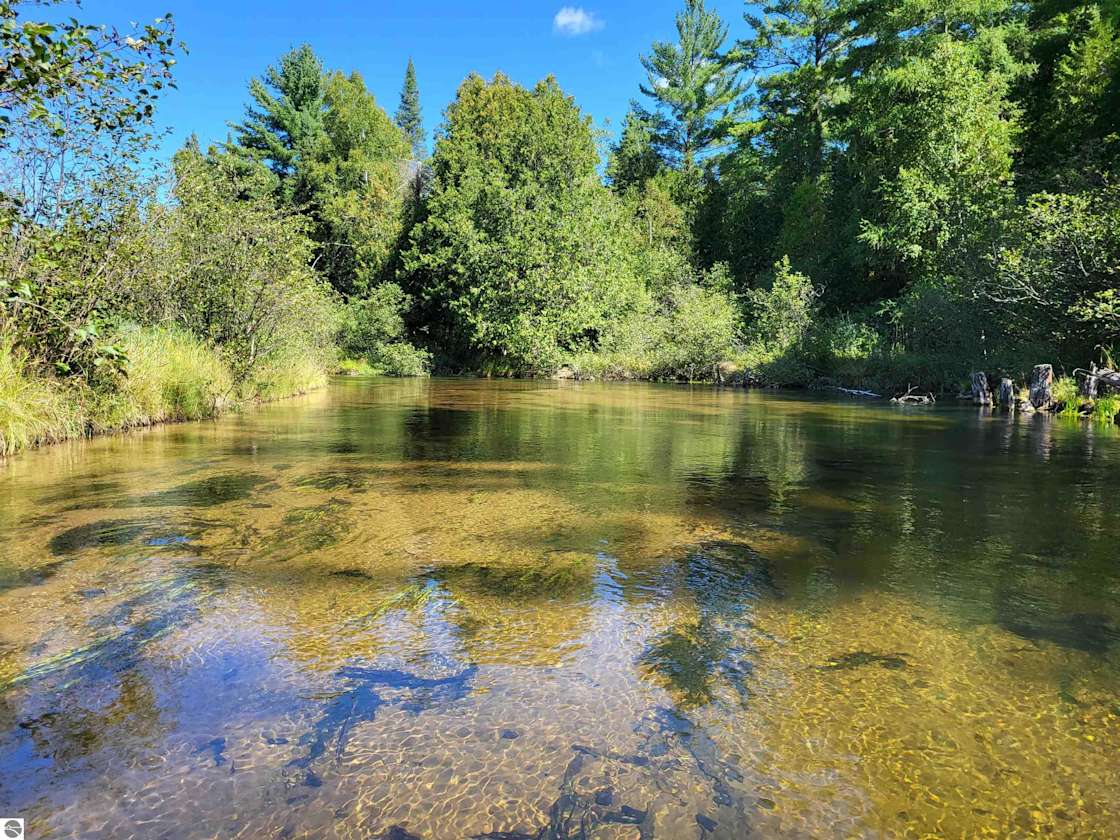 Waterfront RV / Camper Property - Hipcamp in Frederic, Michigan