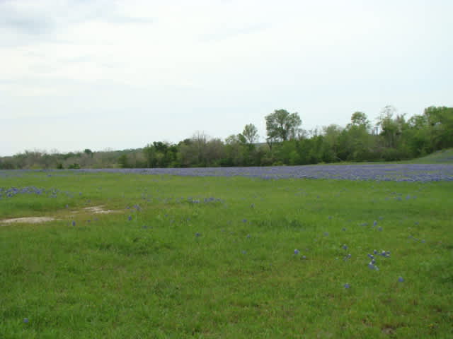 The Navasota River Ranch - Hipcamp in Navasota, Texas
