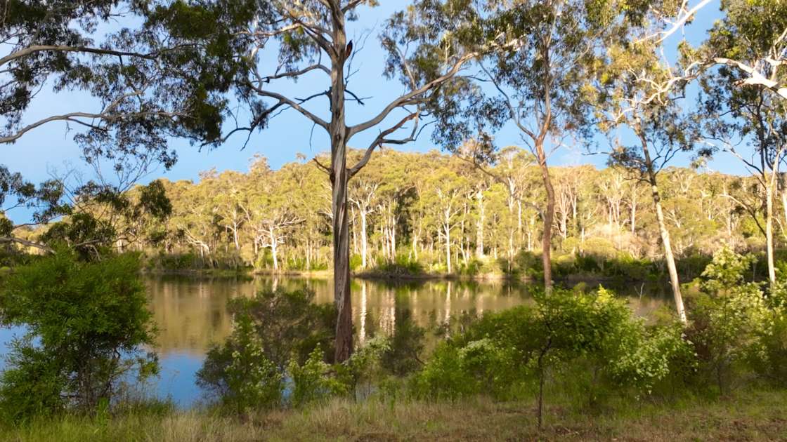 Wallagaraugh River Retreat - Hipcamp in Genoa, Victoria