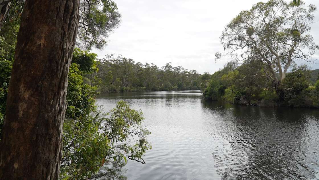 Wallagaraugh River Retreat - Hipcamp in Genoa, Victoria