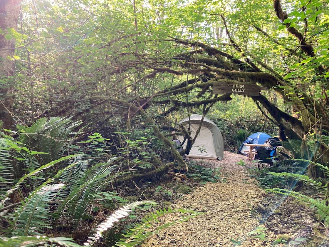 Cedar Groves Rural Campground - Hipcamp in Sedro Woolley, Washington