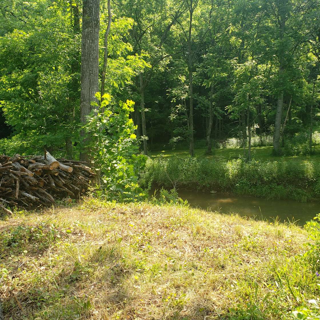 Hippie Hollow - Hipcamp in Floyd, Virginia