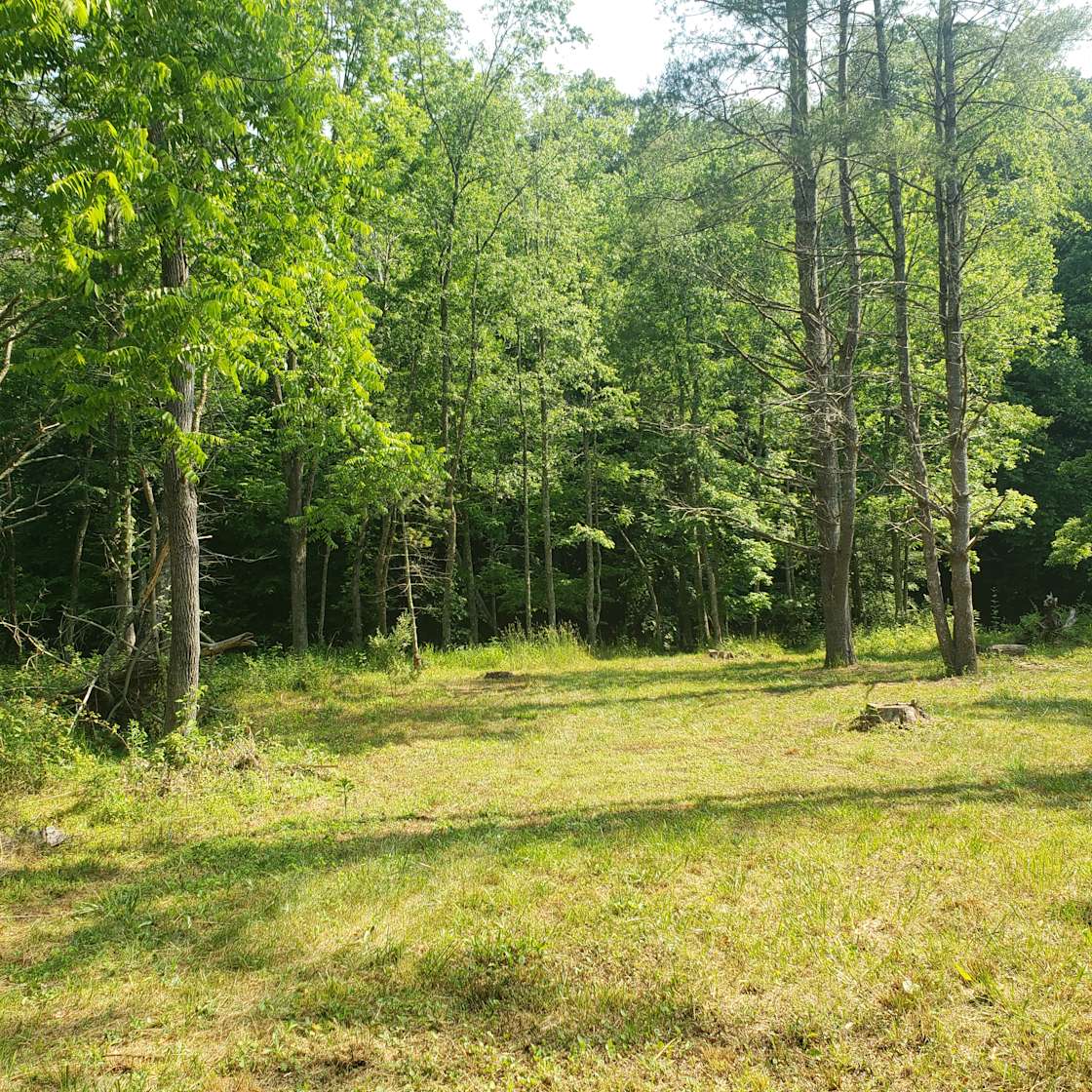 Hippie Hollow - Hipcamp in Floyd, Virginia