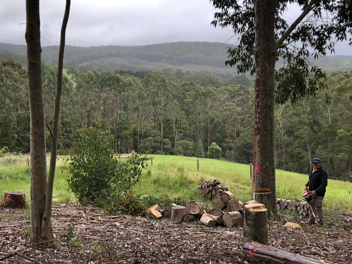 Lovat land - Hipcamp in Gellibrand, Victoria