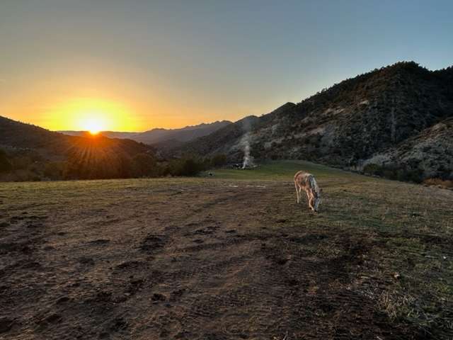 Shaka Ranch - Hipcamp in New Castle, Colorado