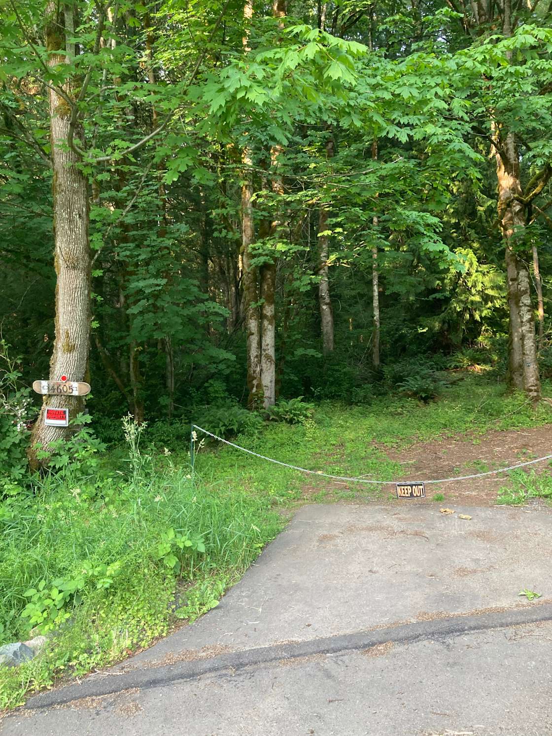 Wooded vacant land - Hipcamp in Cathcart, Washington