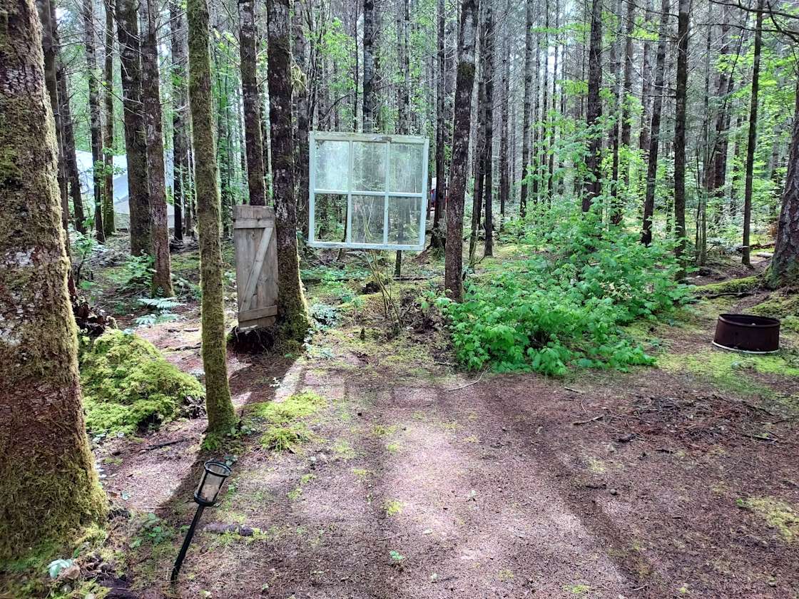 Elfendahl Forest campground - Hipcamp in Belfair, Washington