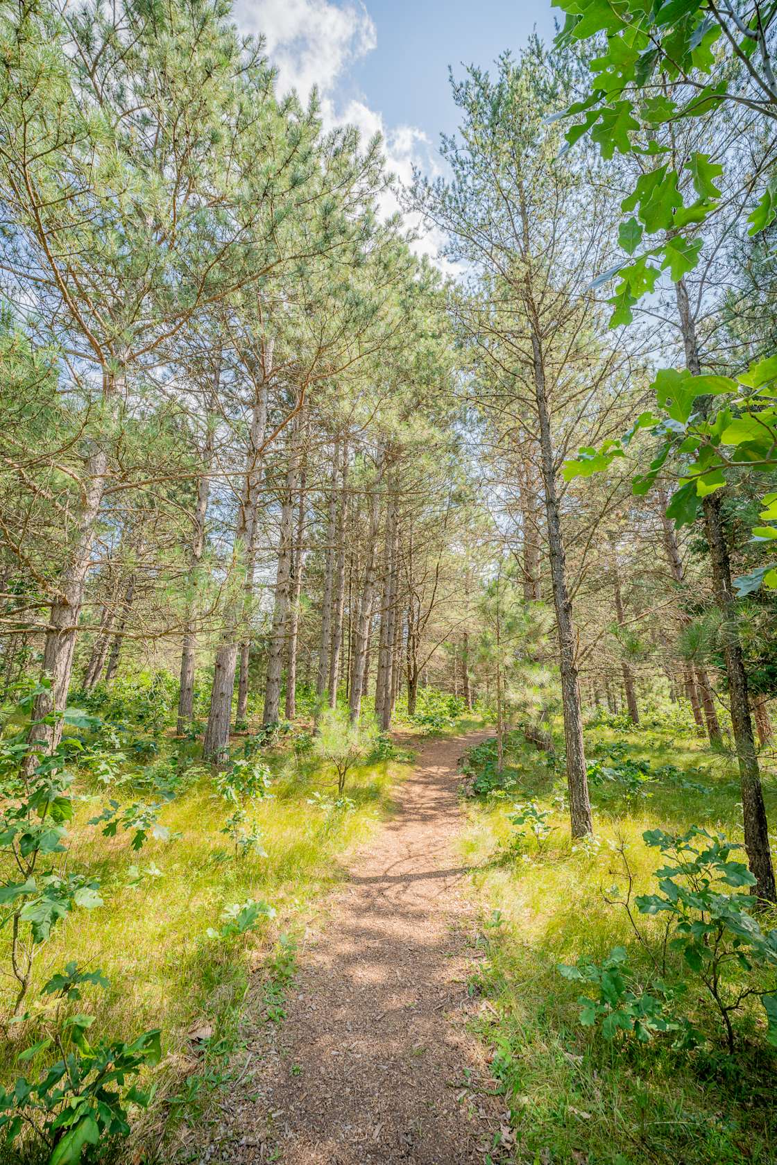 Emrick lake Campground & Resort - Hipcamp in Oxford, Wisconsin