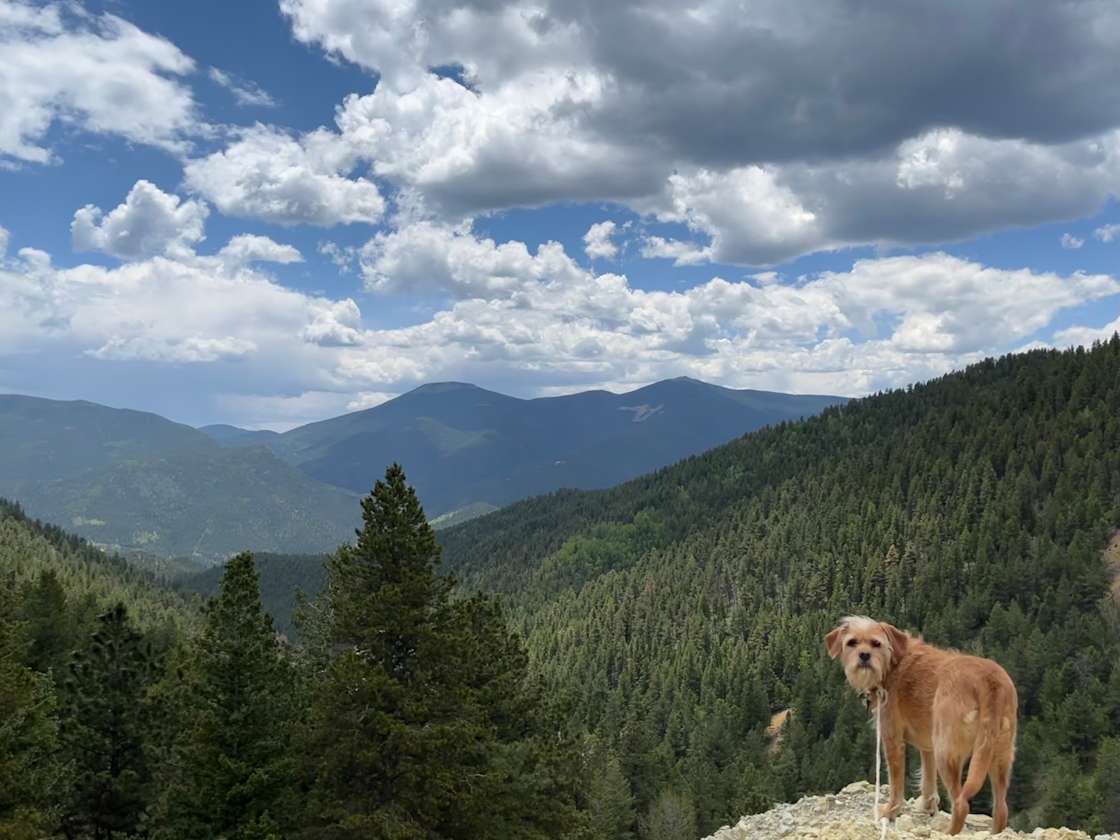 Prospector’s Rush - Hipcamp in Central City, Colorado