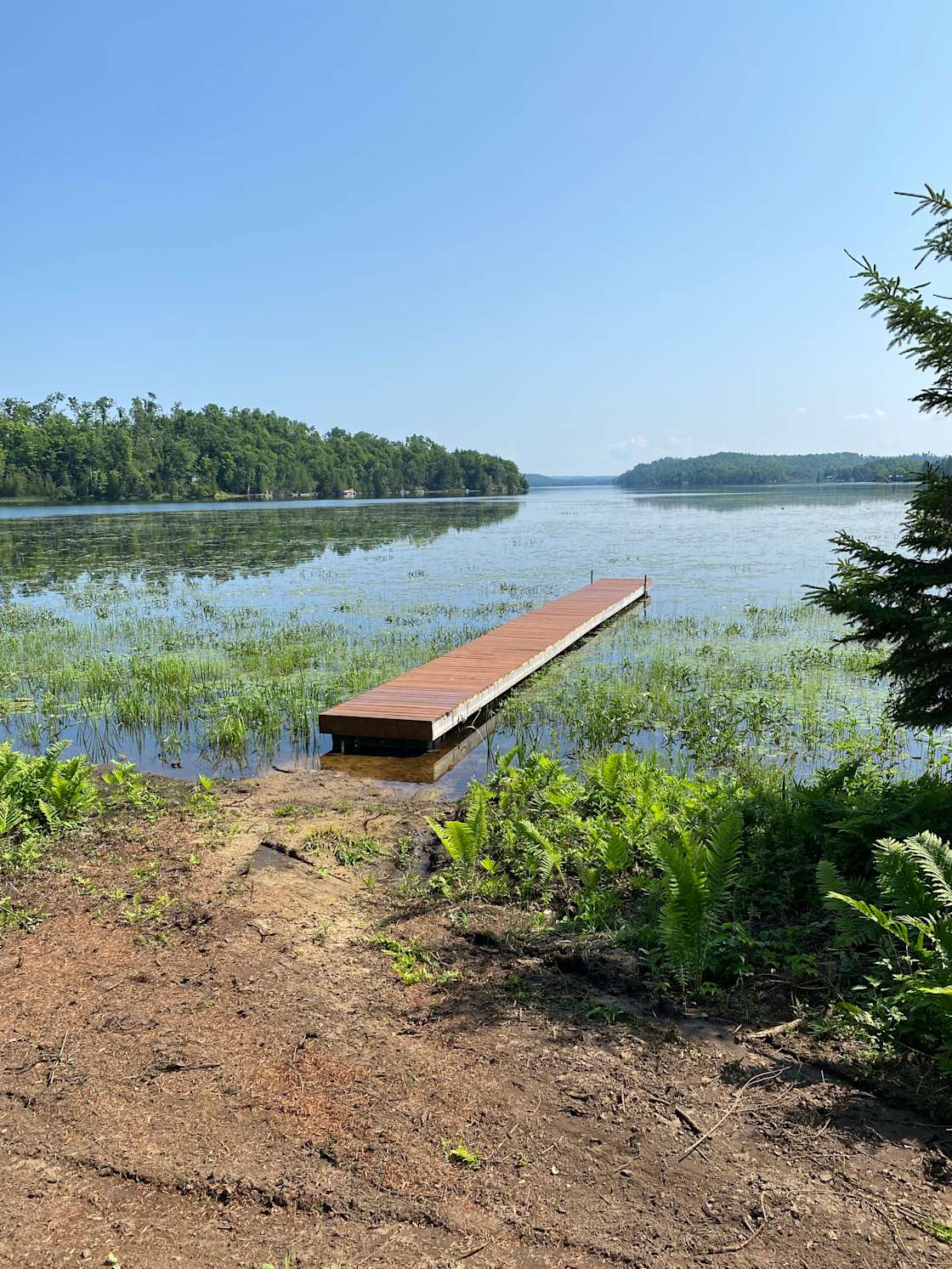Limerick lake side camping - Hipcamp in Bancroft, Ontario