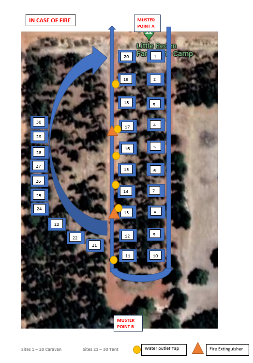 Little Eeden Farm Pine Camp - Hipcamp in Mooliabeenee, Western Australia