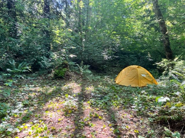 Cedar Groves Rural Campground - Hipcamp in Sedro Woolley, Washington