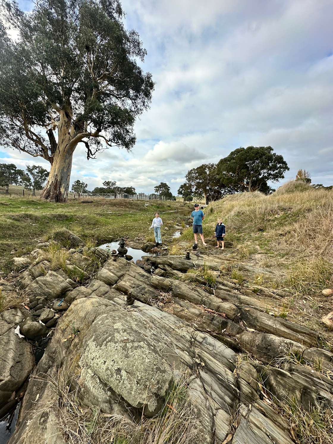 The Valley of Eden - Barossa - Hipcamp in Eden Valley, South Australia