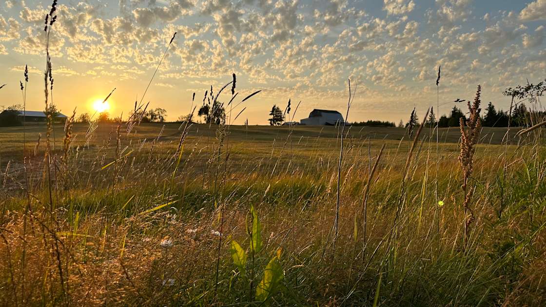 Rusty Ranch Tree Farm and Forest - Hipcamp in Bellingham, Washington