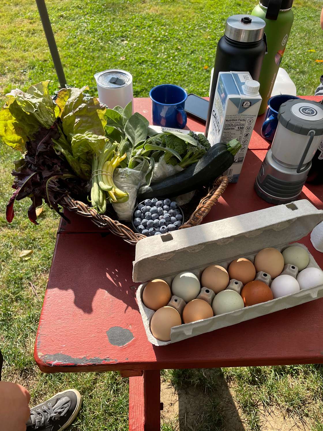 Rusty Ranch Tree Farm and Forest - Hipcamp in Bellingham, Washington