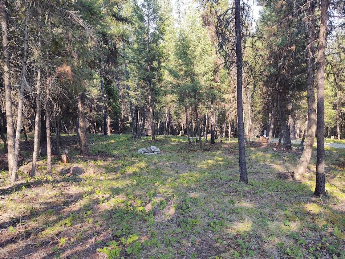 Heritage Cabin Property - Hipcamp in Fortine, Montana