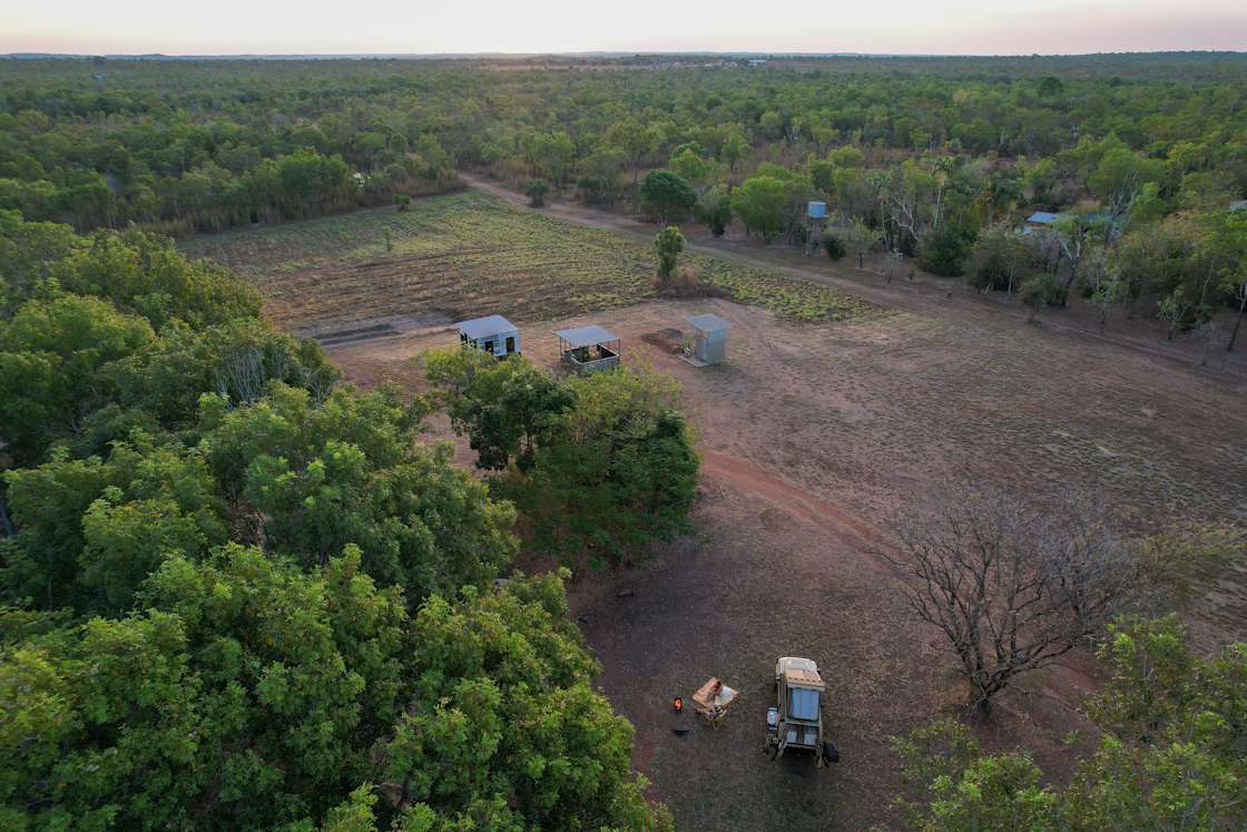Darwin River Fern Farm - Hipcamp in Darwin River, Northern Territory