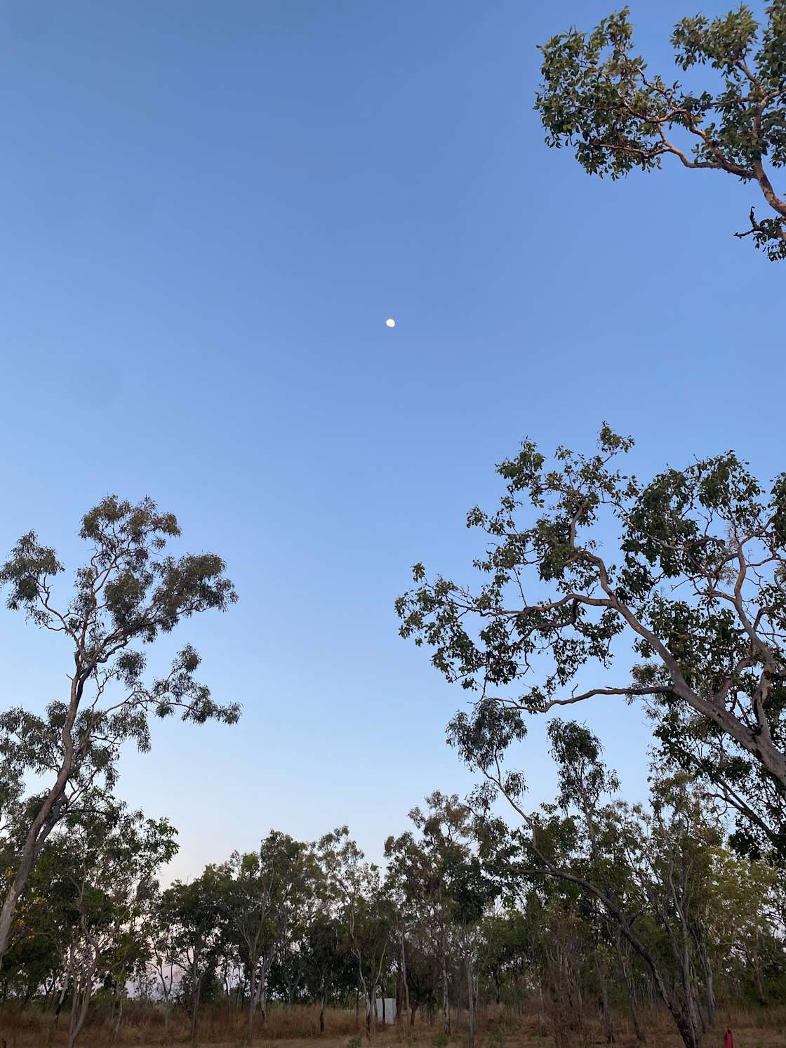 Edith’s Farm - Hipcamp in Edith, Northern Territory