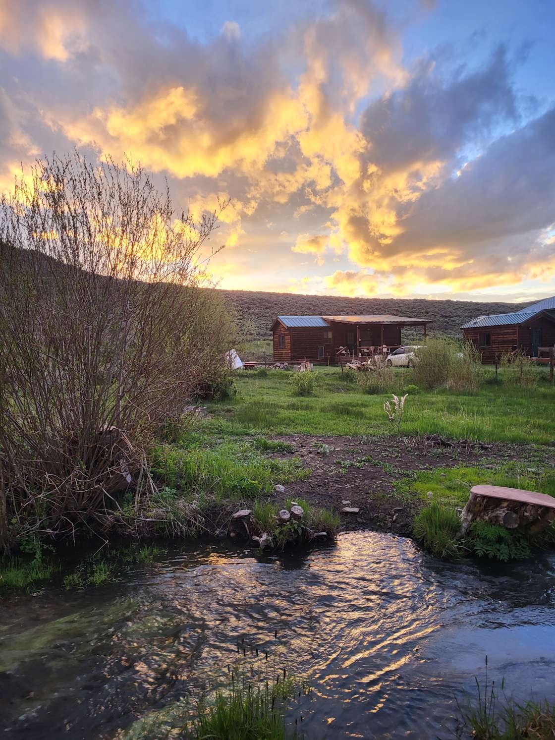 Needle Creek Ranch - Hipcamp in Pitkin, Colorado