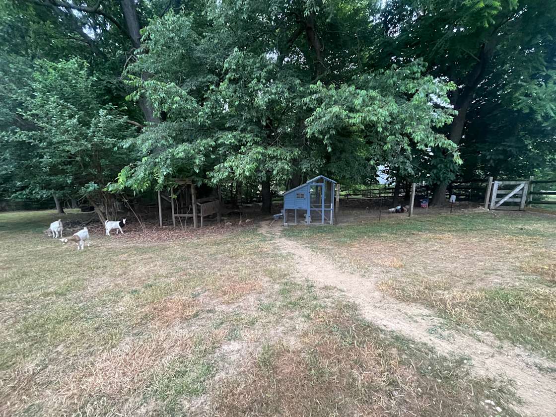 Pickering Goat Ranch - Hipcamp in Nottingham, Pennsylvania