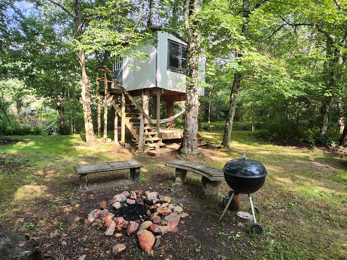 Jake's Farm - Hipcamp in Candler, North Carolina