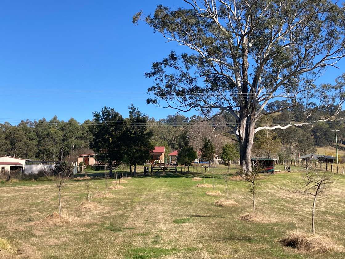 River Camping Under the Elms - Hipcamp in Dungog, New South Wales